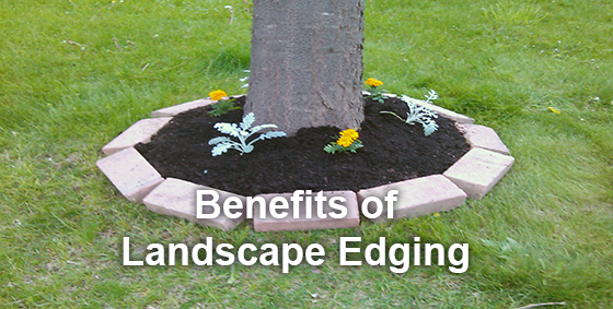 The Benefits of Using Lawn Edging - Landscape Edging Blog