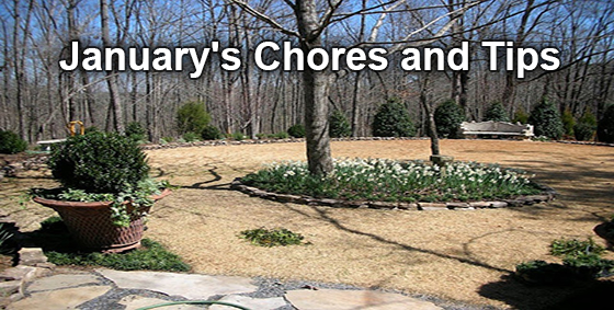 January's To-Do's and Tips - Landscape Edging Blog