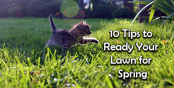 10 Tips to Prepare Your Lawn For Spring - Landscape Edging Blog