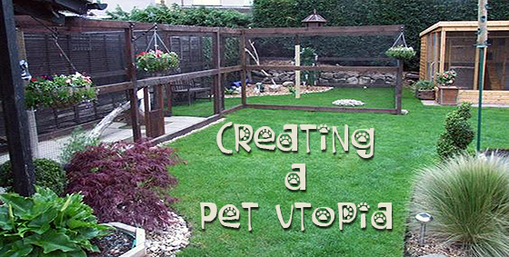 Creating a Pet Utopia - Landscape Edging Blog