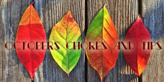 October Chores and Tips - Landscape Edging Blog