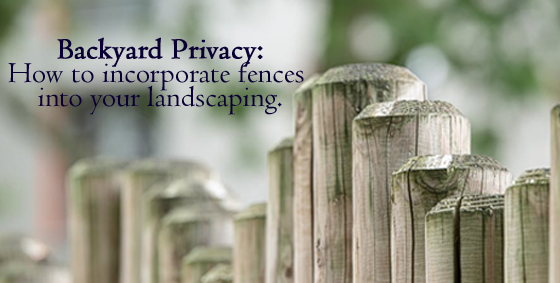Backyard Privacy: How To Incorporate Fences Into Your Landscaping ...
