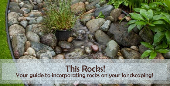 This Rocks! Your guide to incorporating rocks into your landscape ...
